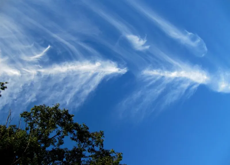 Todas las curiosidades de las nubes cirrus